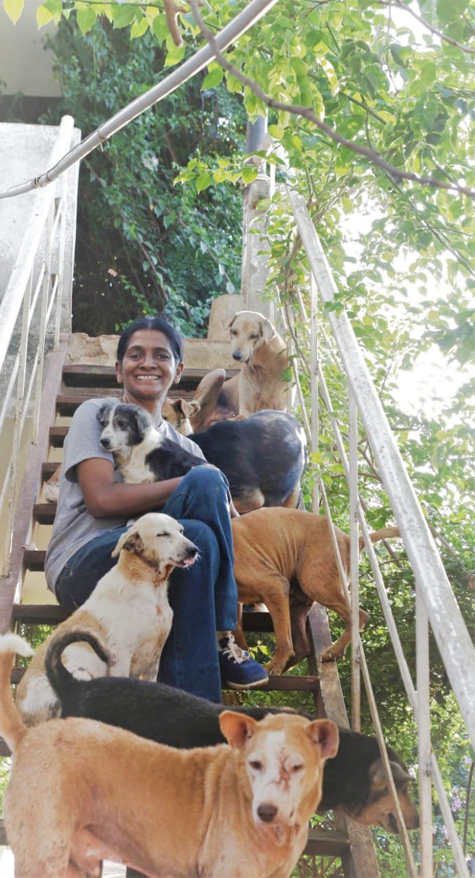 Pet Animals | Shiranee Pereira